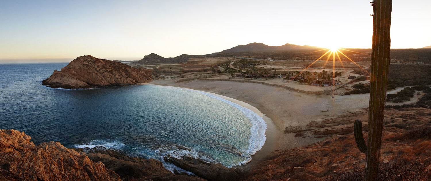 Palm Tree Festival Cabo Announced - Ft Kygo, Gryffin, and more ...